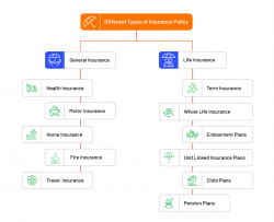 Types of Insurance Policies in India - Angel One